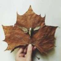 会员专区 - 会员专区 - 艾编程 - Java构架师进阶，CTO技术总监，Java程序员进阶学习 - Powered By EduSoho